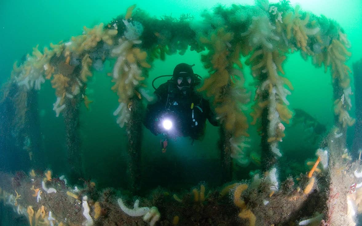 BSAC Encouraging Qualified Divers To Dive With Local Clubs - DeeperBlue.com BSAC Encouraging Qualified Divers To Dive With Local Clubs - DeeperBlue.com